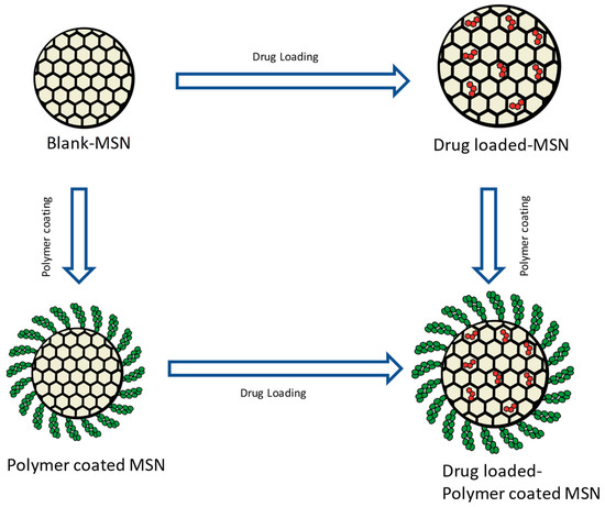Therapeutic Potential of Polymer-Coated Mesoporous Silica Nanoparticles