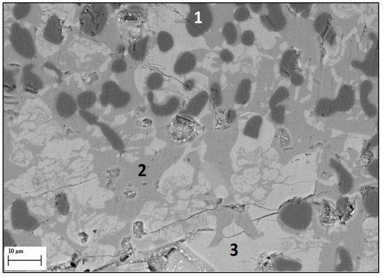 Generation of a Porous Scaffold with a Starting Composition in the CaO–SiO2–MgO–P2O5 System in a ...