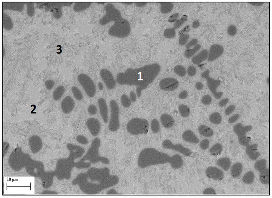 Generation of a Porous Scaffold with a Starting Composition in the CaO–SiO2–MgO–P2O5 System in a ...