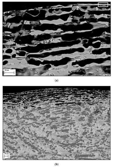 Generation of a Porous Scaffold with a Starting Composition in the CaO–SiO2–MgO–P2O5 System in a ...