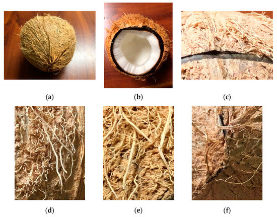 Impact Performance of a Plate Structure with Coconut-Inspired Microchannels