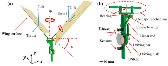 Applied Sciences | Free Full-Text | A Bio-Inspired Flapping Wing Rotor ...