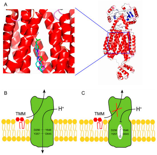 Promiscuous Targets for Antitubercular Drug Discovery: The Paradigm of ...