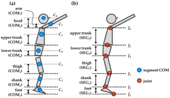 Effect of Landing Posture on Jump Height Calculated from Flight Time