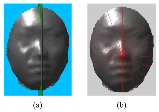 3D Face Model Super-Resolution Based on Radial Curve Estimation