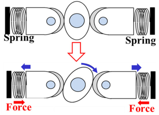 Development of a Four-Way Pinch-Type Servo Valve for Pneumatic Actuator