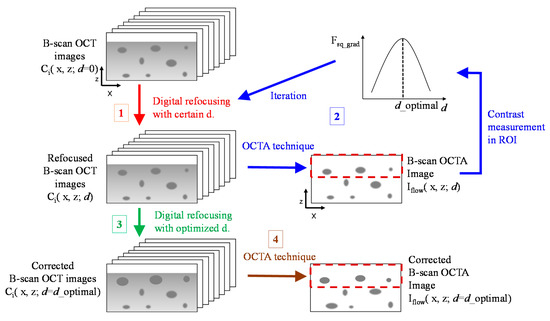 Angiographic Imaging of an In Vivo Mouse Brain as a Guiding Star for ...