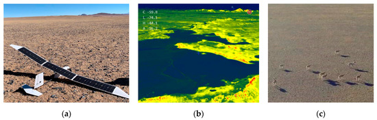 Design of a Hand-Launched Solar-Powered Unmanned Aerial Vehicle (UAV ...