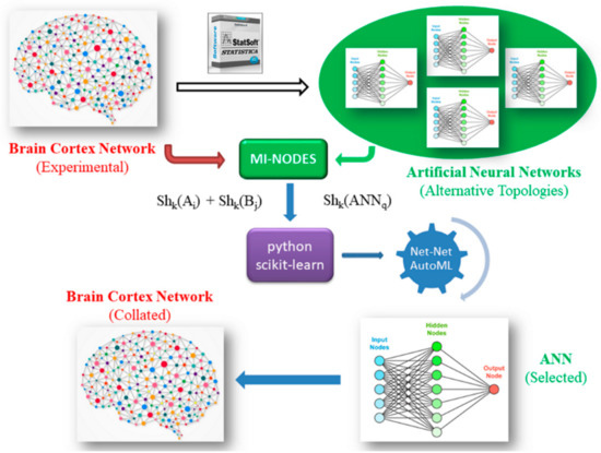 Net-Net AutoML Selection of Artificial Neural Network Topology for ...