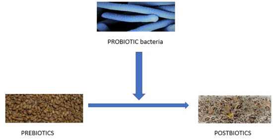 Probiotics, Non-Dairy Prebiotics and Postbiotics in Nutrition