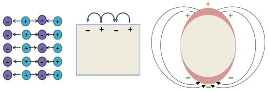 Principle and Applications of the Coupling of Surface Plasmons and Excitons