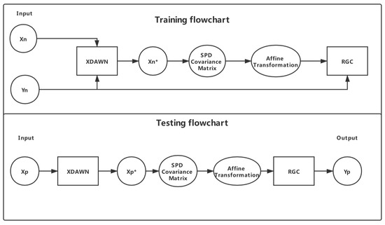 Applied Sciences | Free Full-Text | Transfer Learning Algorithm of P300 ...