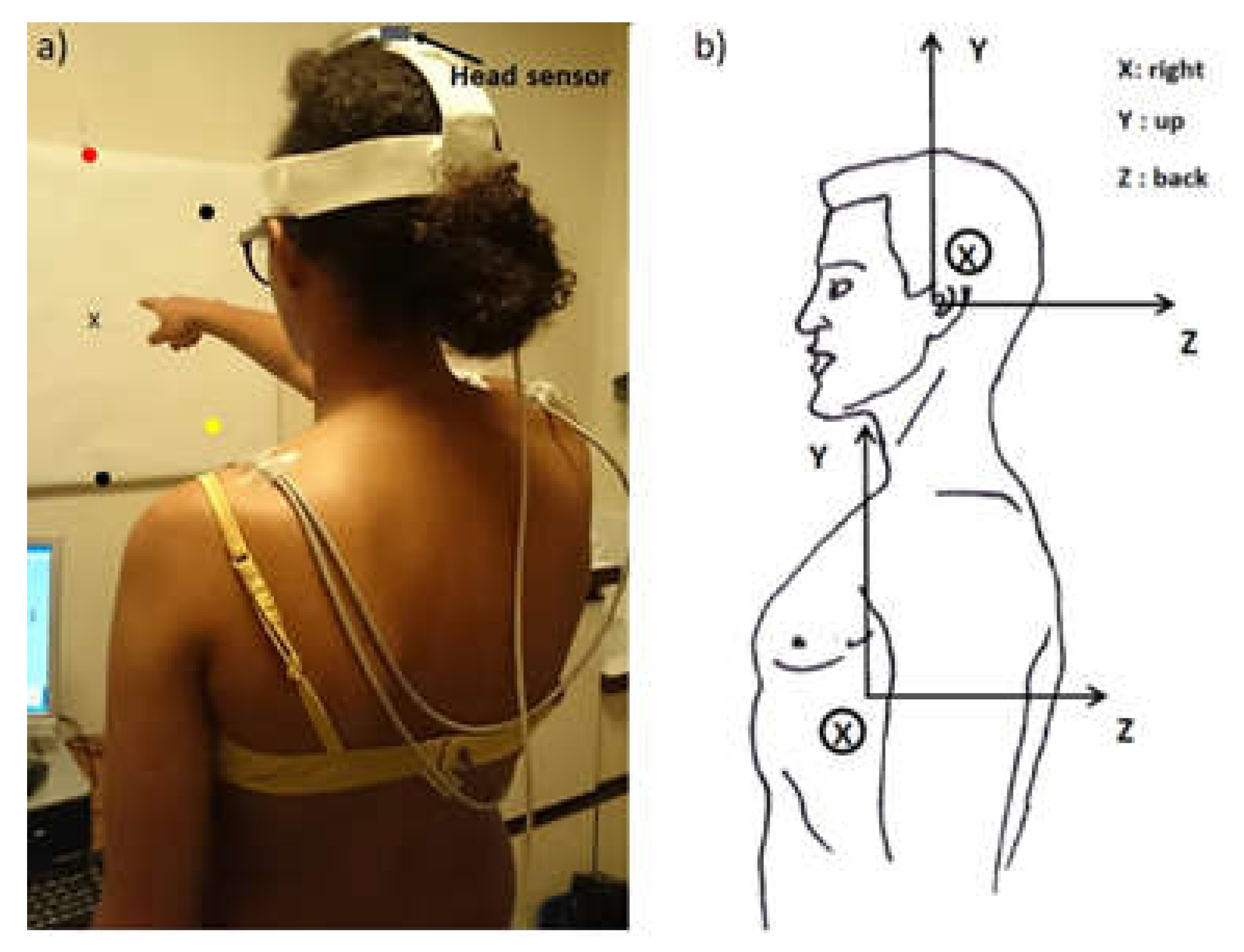 Applied Sciences | Free Full-Text | Orientation of the Head and Trunk During Functional Upper ...