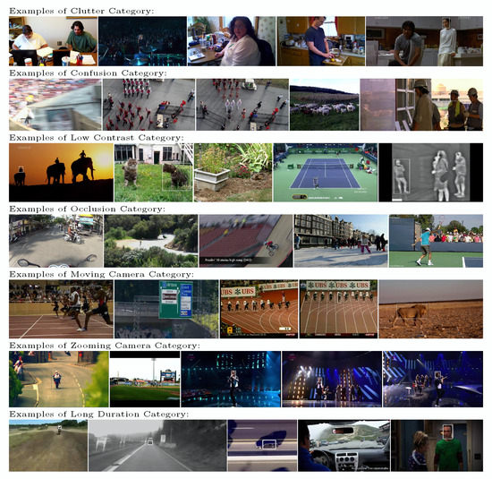 Parallelization of the Honeybee Search Algorithm for Object Tracking