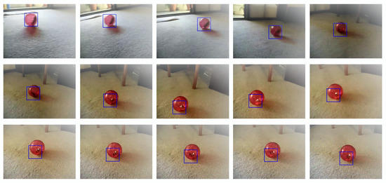 Parallelization of the Honeybee Search Algorithm for Object Tracking