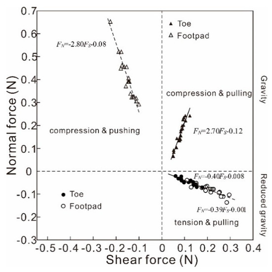 Control strategies of gecko’s toe in response to reduced gravity
