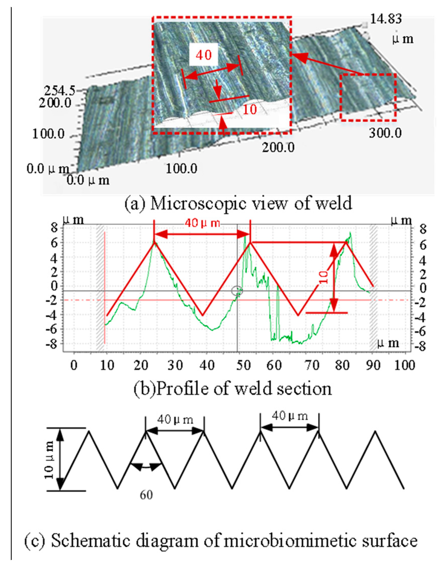 Bionic Structure on Complex Surface with Belt Grinding for Electron ...