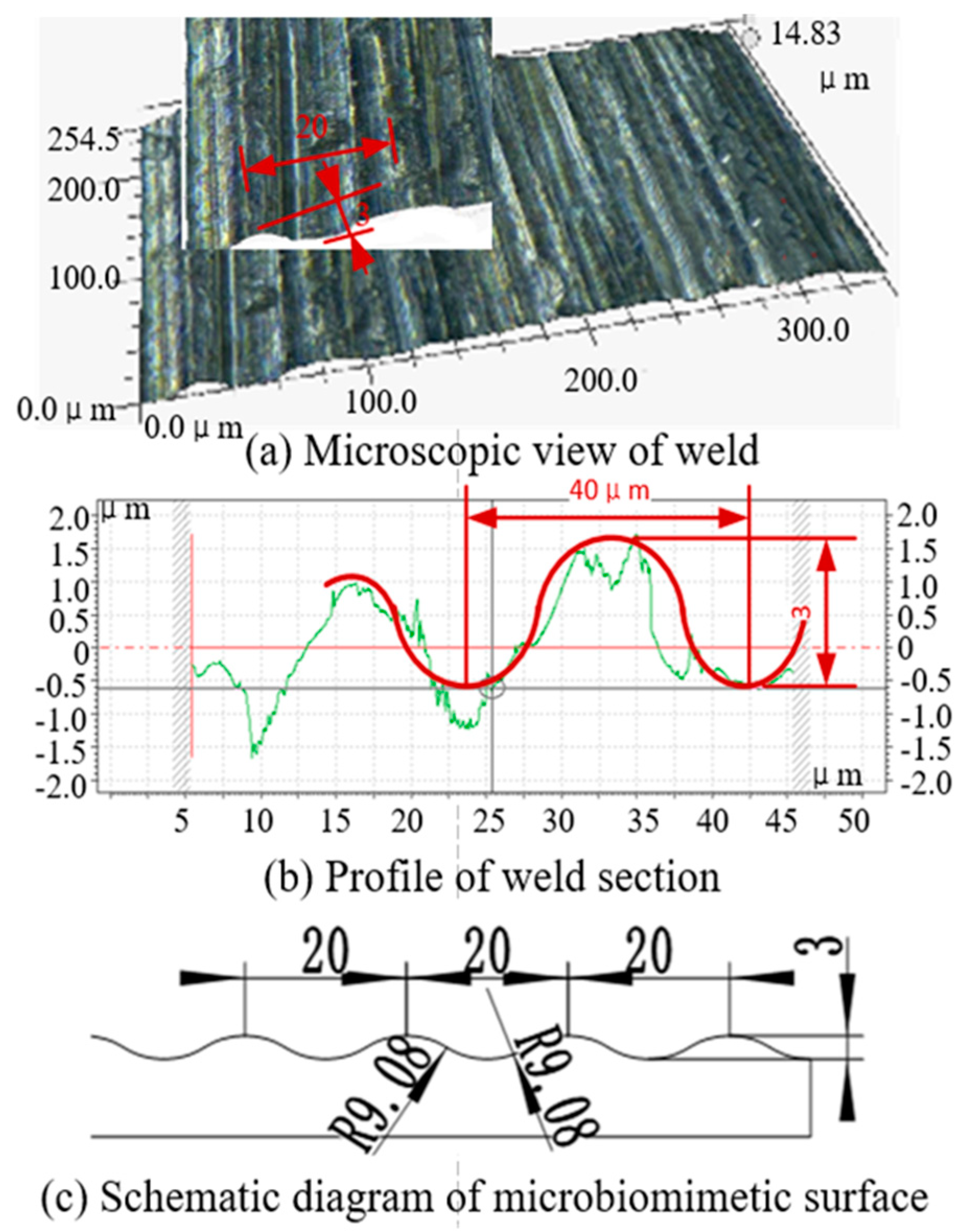 Bionic Structure on Complex Surface with Belt Grinding for Electron ...