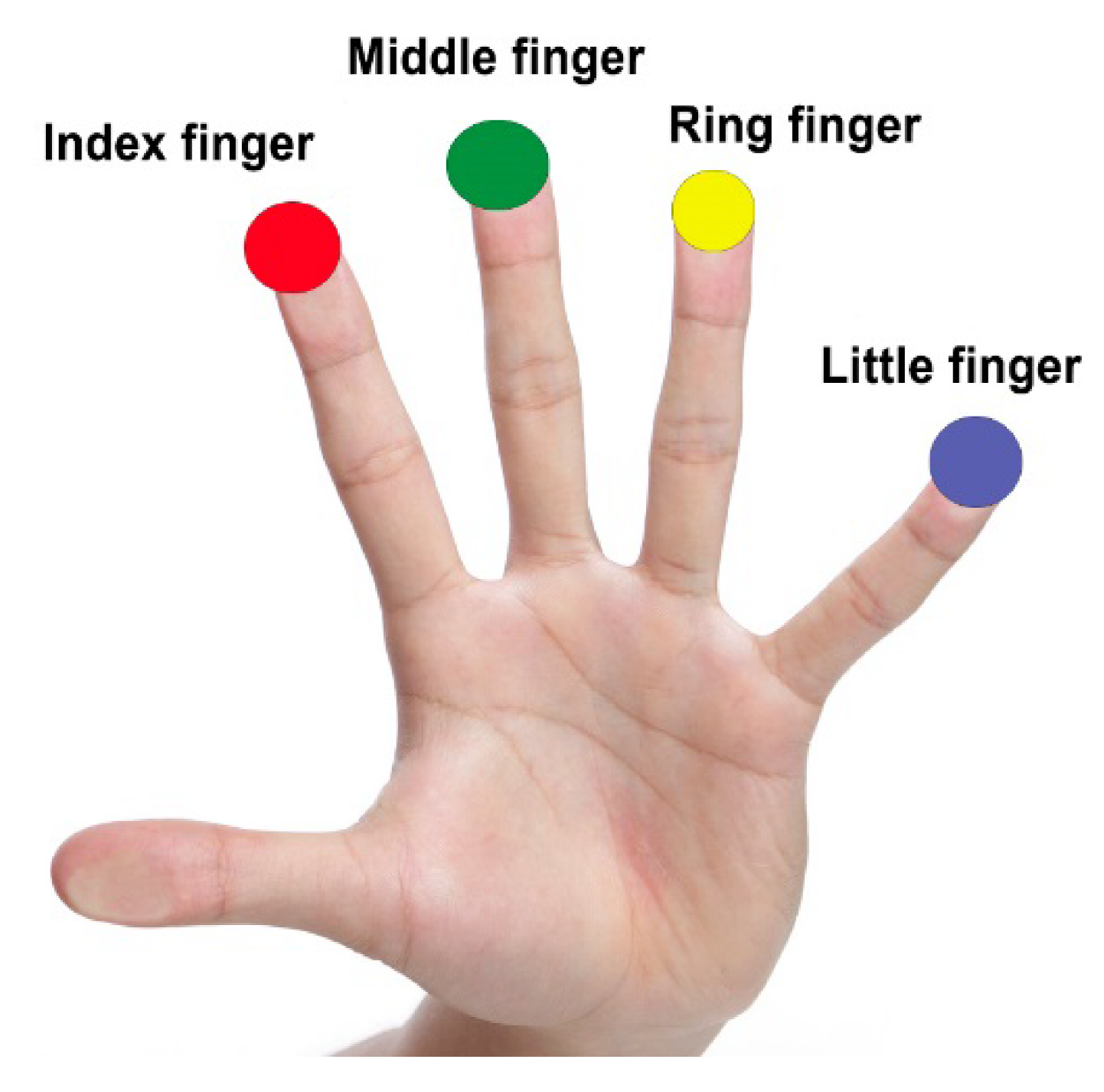 Applied Sciences | Free Full-Text | Augmented Reality to Facilitate ...