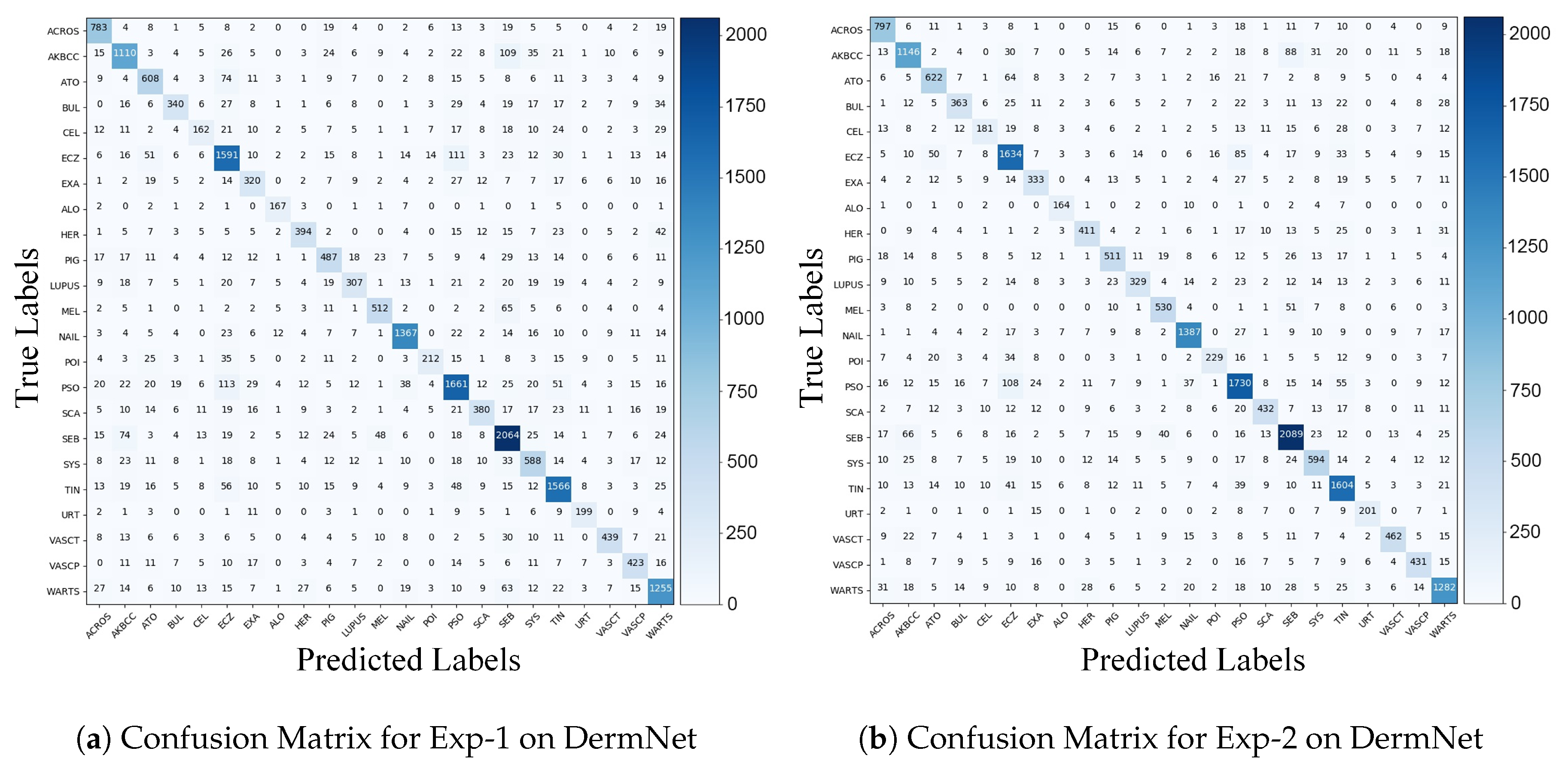 Applied Sciences | Free Full-Text | Computer-Aided Diagnosis of Skin ...