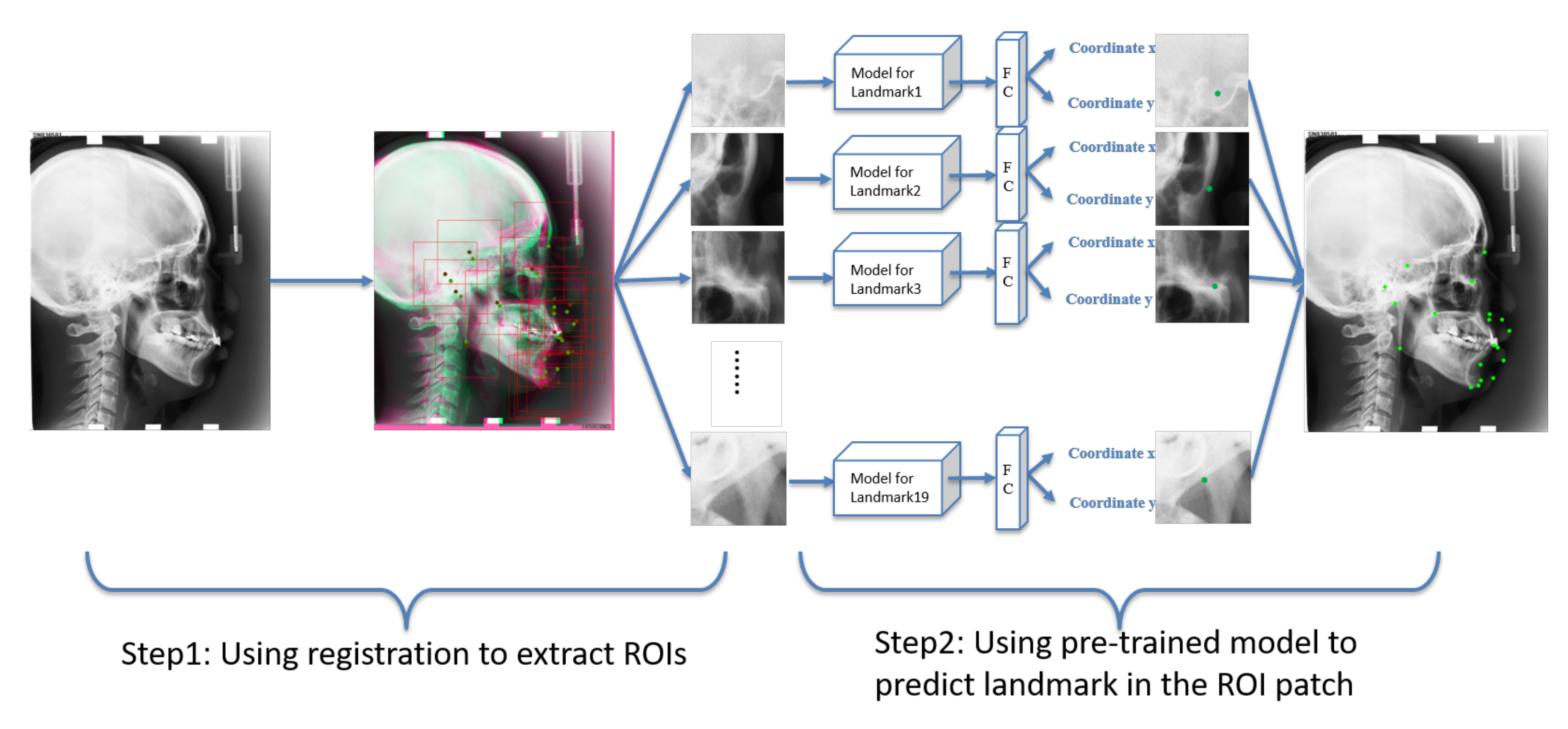 Automatic Cephalometric Landmark Detection On X Ray Images Using A Deep
