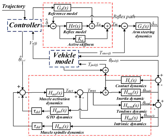 A Steering-Following Dynamic Model with Driver’s NMS Characteristic for ...