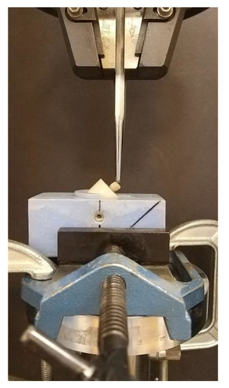 Influence of Occlusal Thickness and Radicular Extension on the Fracture ...