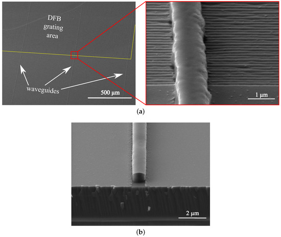 Single-Mode Polymer Ridge Waveguide Integration of Organic Thin-Film Laser