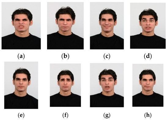 Feature Selection for Facial Emotion Recognition Using Cosine ...