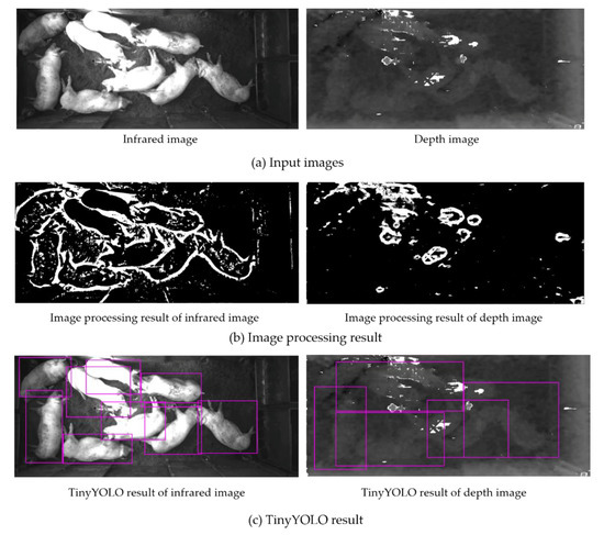 EmbeddedPigDet—Fast and Accurate Pig Detection for Embedded Board Implementations