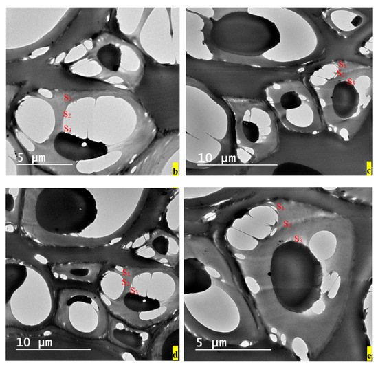 Illustration of the Effects of Five Fungi on Acacia saligna Wood ...