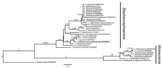 Isolation, Identification and Biotechnological Applications of a Novel ...