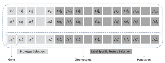 ProLSFEO-LDL: Prototype Selection and Label- Specific Feature Evolutionary Optimization for ...
