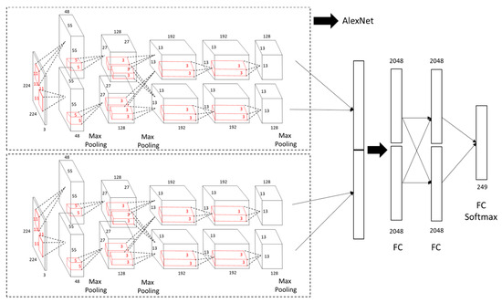 Using Feature Fusion and Parameter Optimization of Dual-input ...