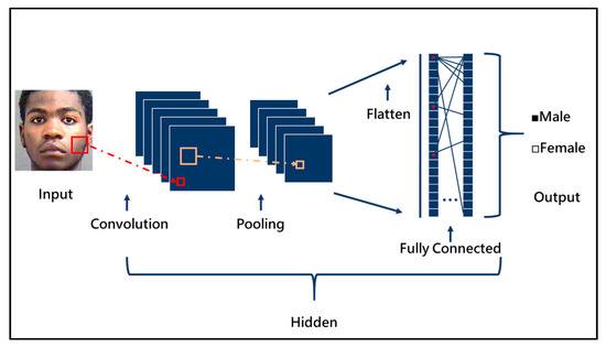 Using Feature Fusion and Parameter Optimization of Dual-input ...
