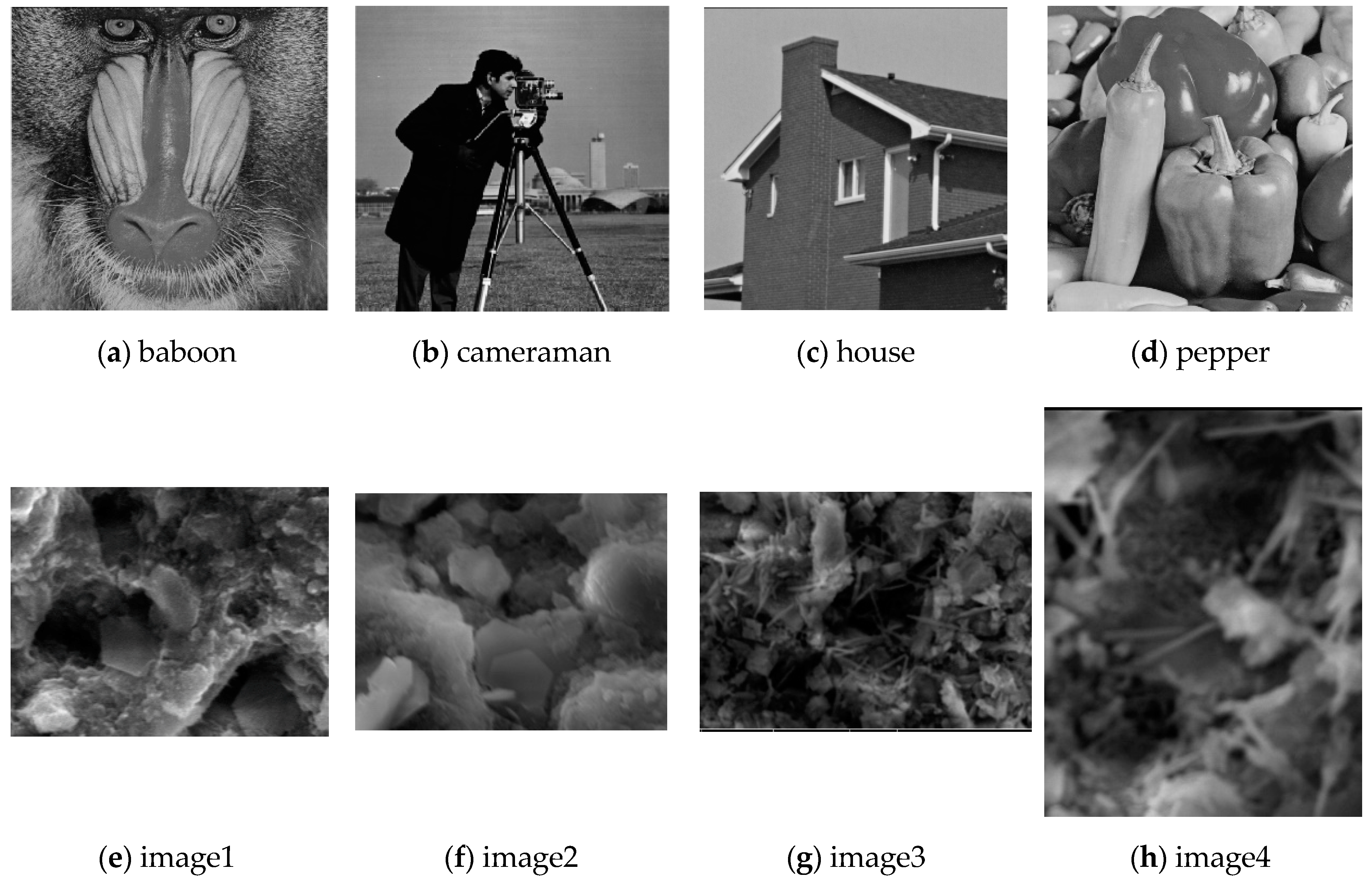 Renyi’s Entropy Based Multilevel Thresholding Using a Novel Meta-Heuristics Algorithm
