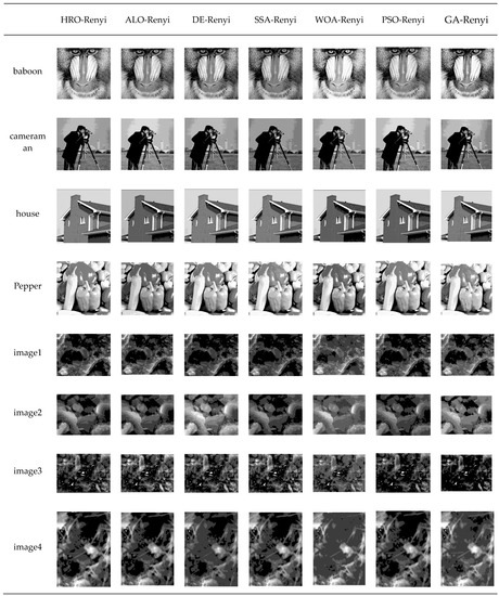 Renyi’s Entropy Based Multilevel Thresholding Using a Novel Meta-Heuristics Algorithm