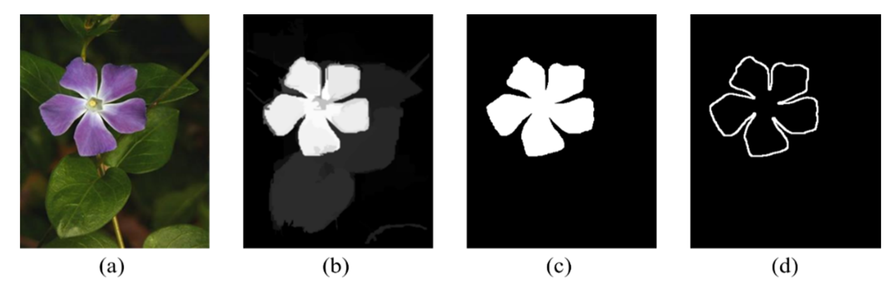 Automatic Salient Object Extraction Based on Locally Adaptive Thresholding to Generate Tactile ...