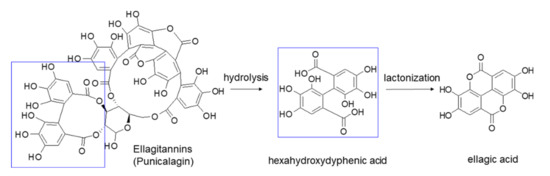 Formulation Strategies to Improve Oral Bioavailability of Ellagic Acid