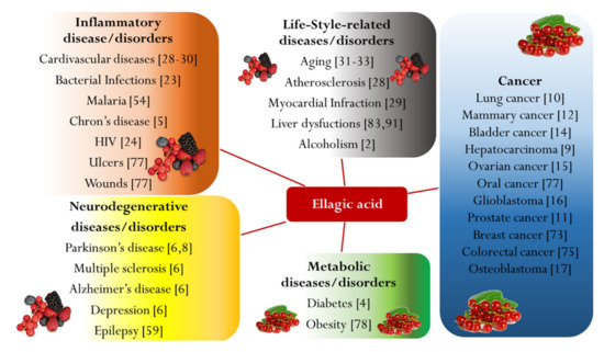 Formulation Strategies to Improve Oral Bioavailability of Ellagic Acid