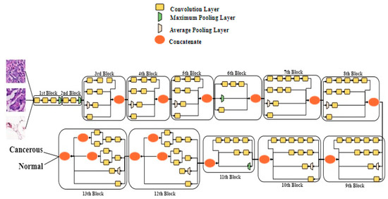 How Deeply to Fine-Tune a Convolutional Neural Network: A Case Study Using a Histopathology Dataset