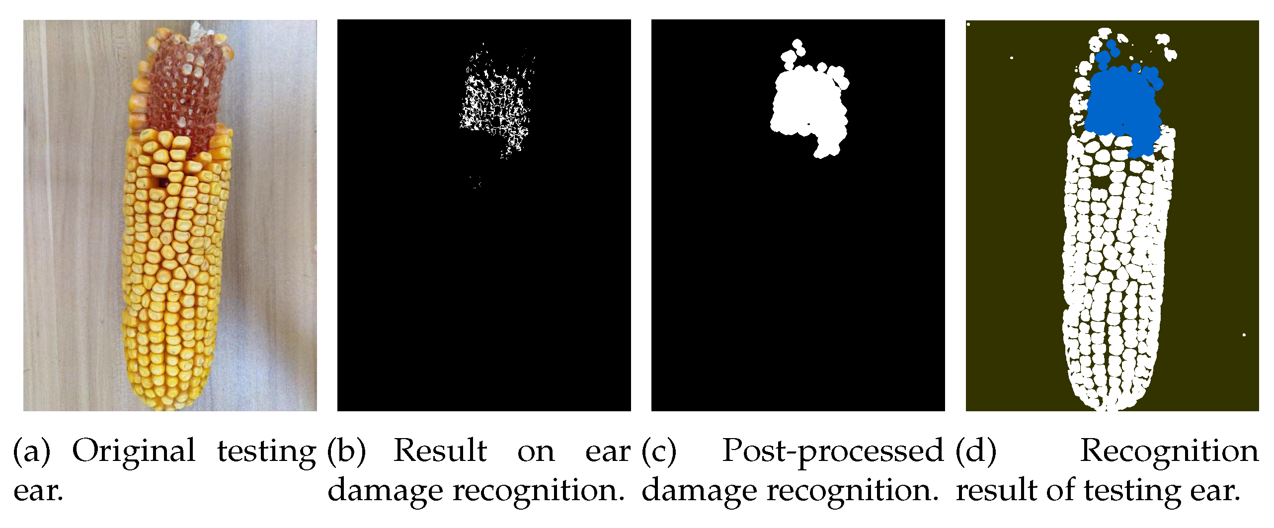 Peeling Damage Recognition Method for Corn Ear Harvest Using RGB Image