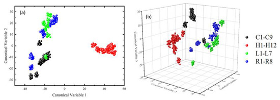 Olive Oils Classification via Laser-Induced Breakdown Spectroscopy