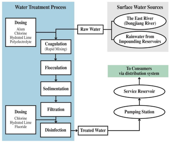 Microplastic Contamination of Surface Water-Sourced Tap Water in Hong ...
