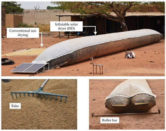 Drying Performance and Aflatoxin Content of Paddy Rice Applying an ...