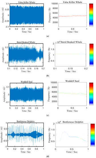 Application of Optimized Adaptive Chirp Mode Decomposition Method in Chirp Signal