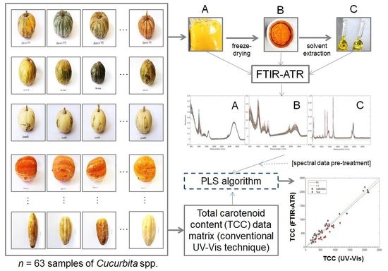 Applied Sciences | Free Full-Text | FTIR-ATR Spectroscopy Combined with Multivariate Regression ...