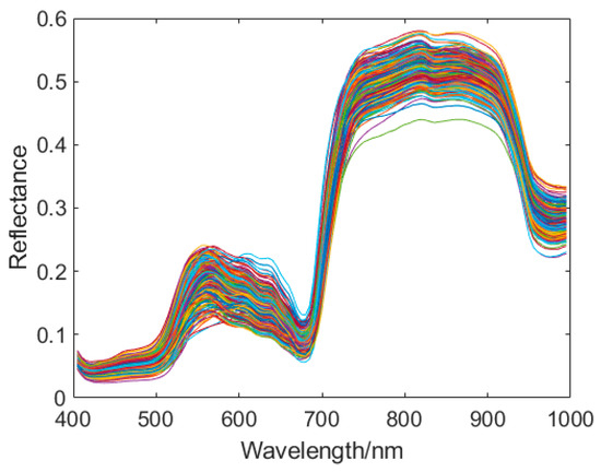 Prediction of Soluble Solids Content in Green Plum by Using a Sparse Autoencoder