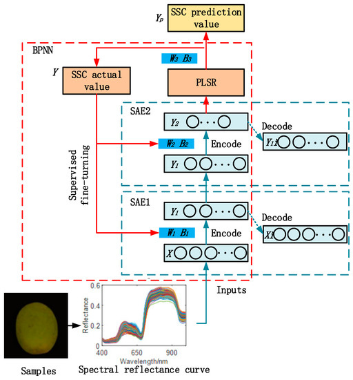 Prediction of Soluble Solids Content in Green Plum by Using a Sparse ...