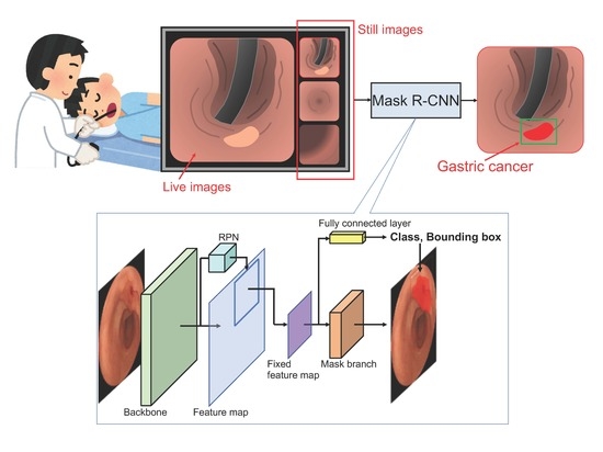 Applied Sciences | Free Full-Text | Automated Detection and ...